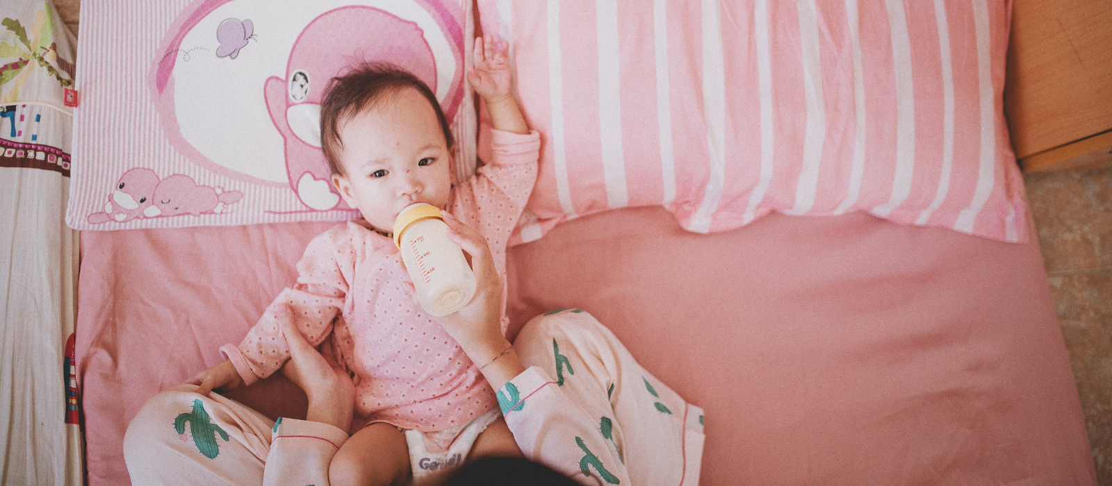 Holle Formula Goat | Holle Formula 1 | Holle USA | Holle Baby | Holle ...